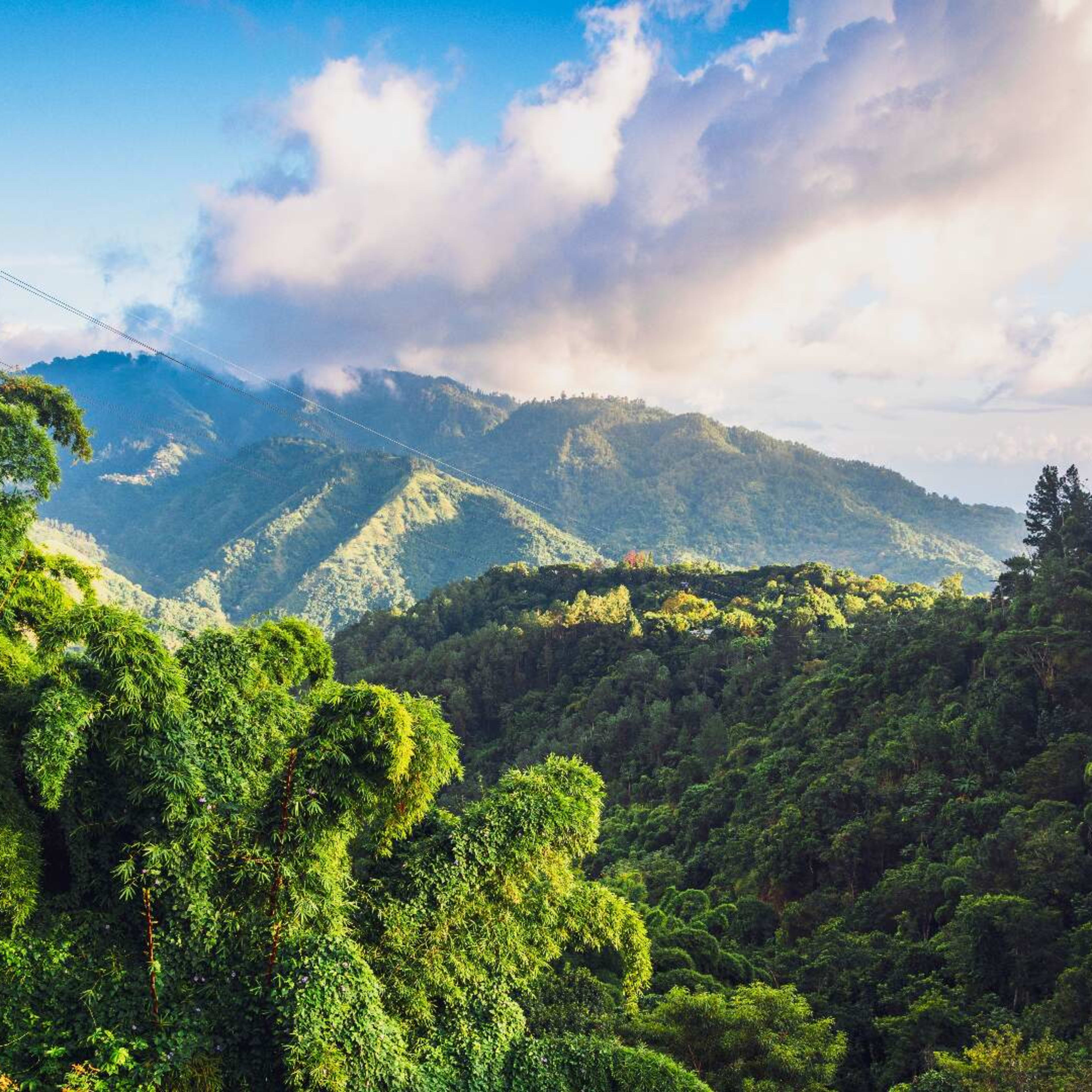 Dividend ETFs: One unexpected ETF is outperforming Vanguard's VIG and VYM - TheStreet