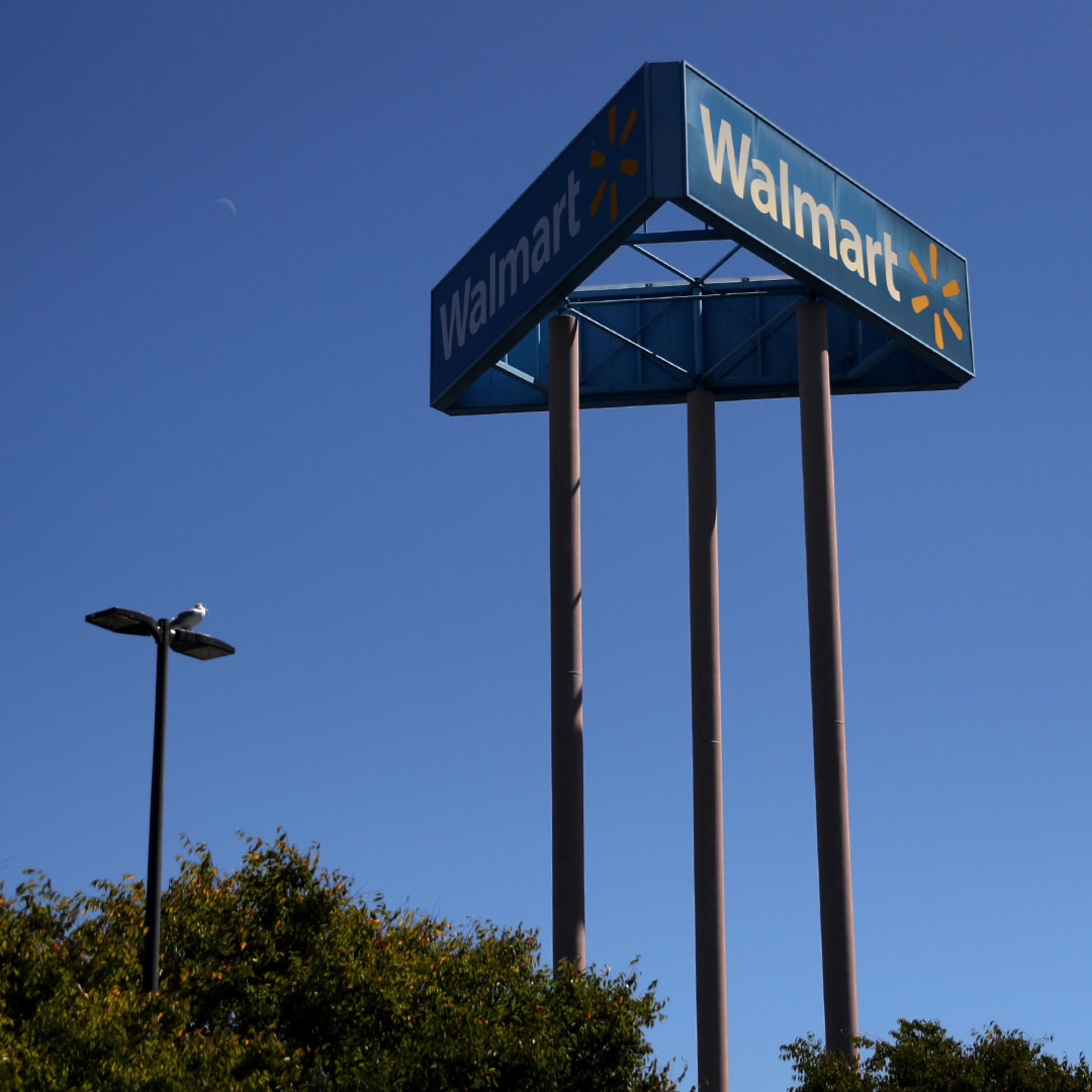 What Is Securities Fraud? Definition, Types & Examples - TheStreet