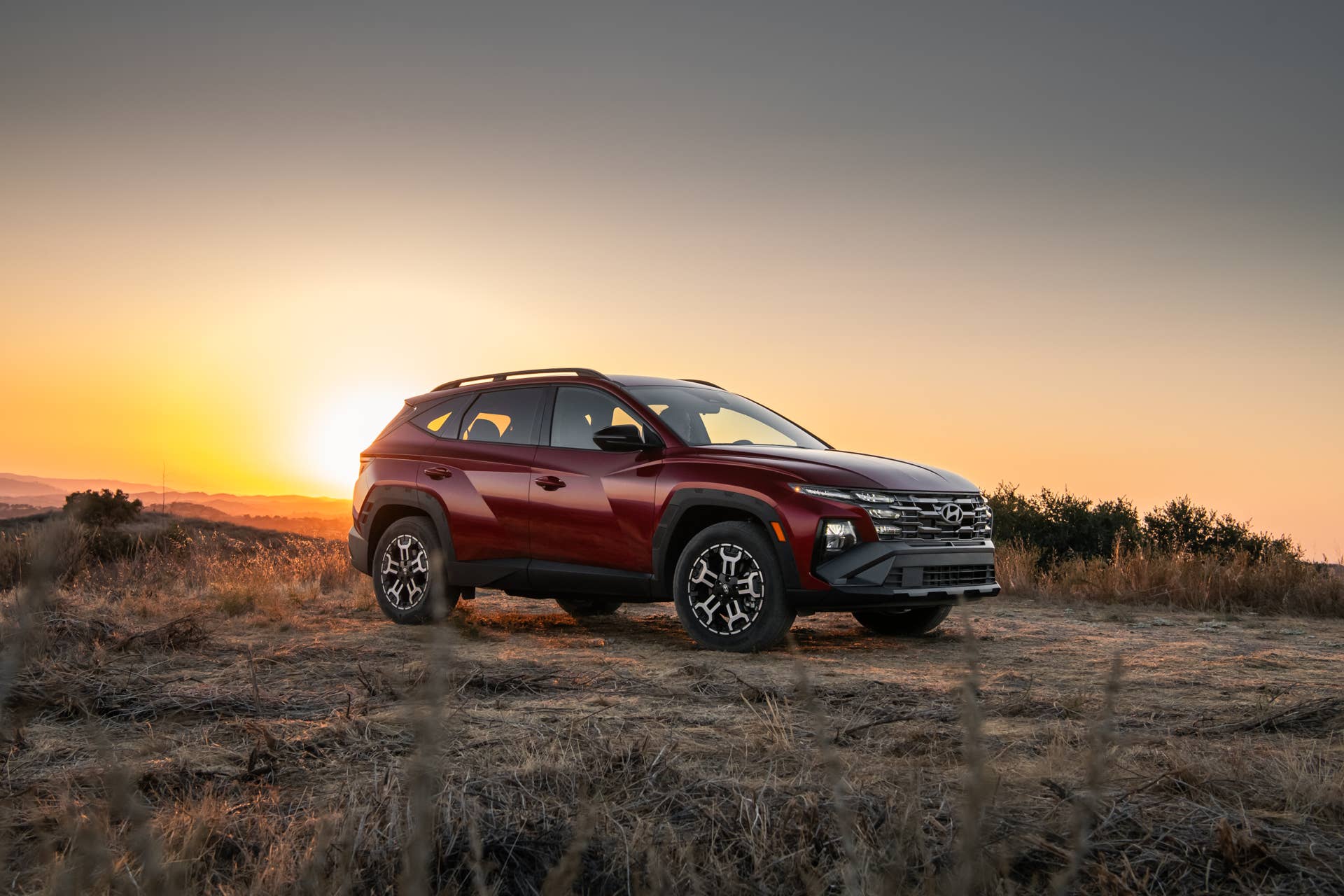 The 10 most popular new cars & SUVs of 2025 (so far), according to ...