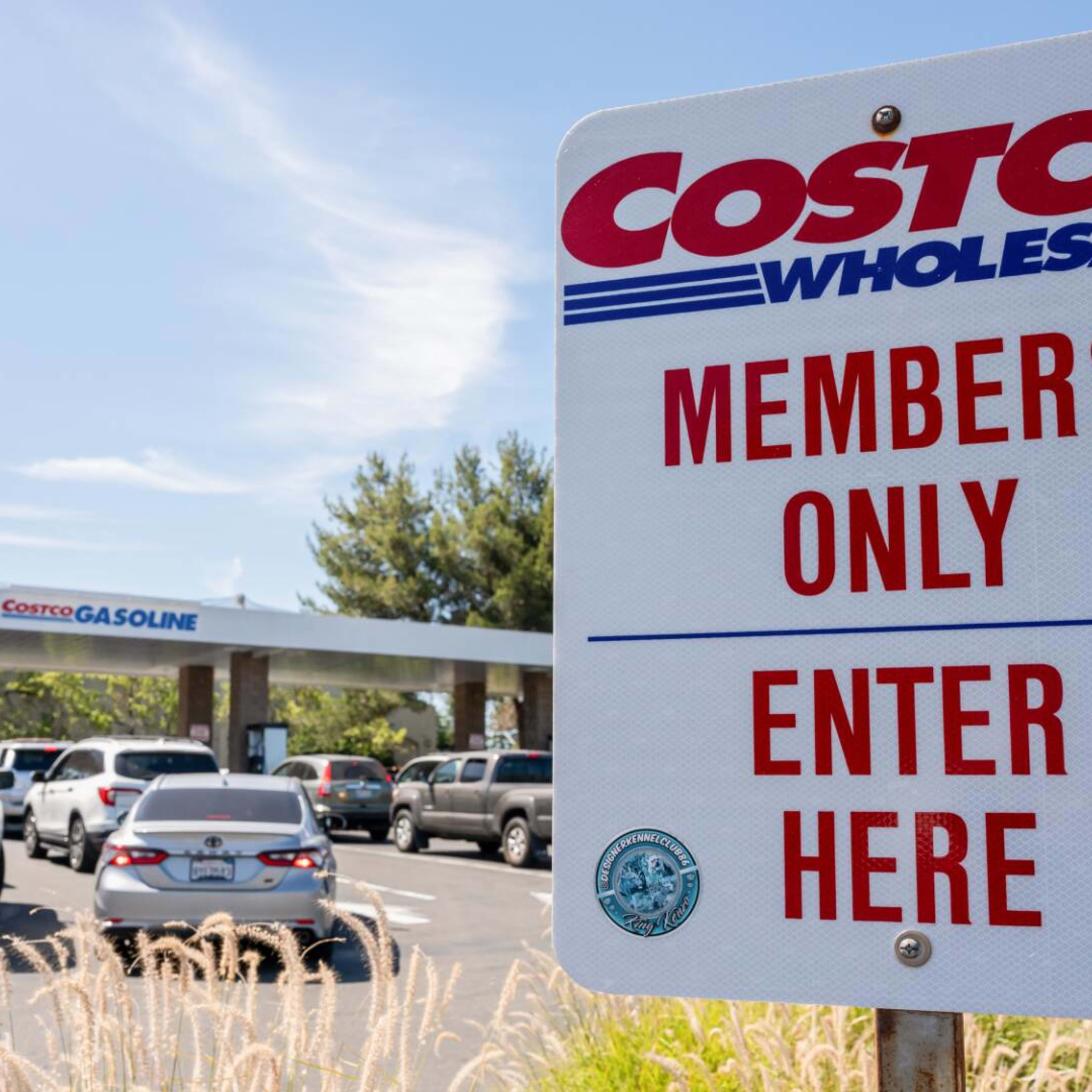 Does Costco accept EBT? Everything you need to know - TheStreet