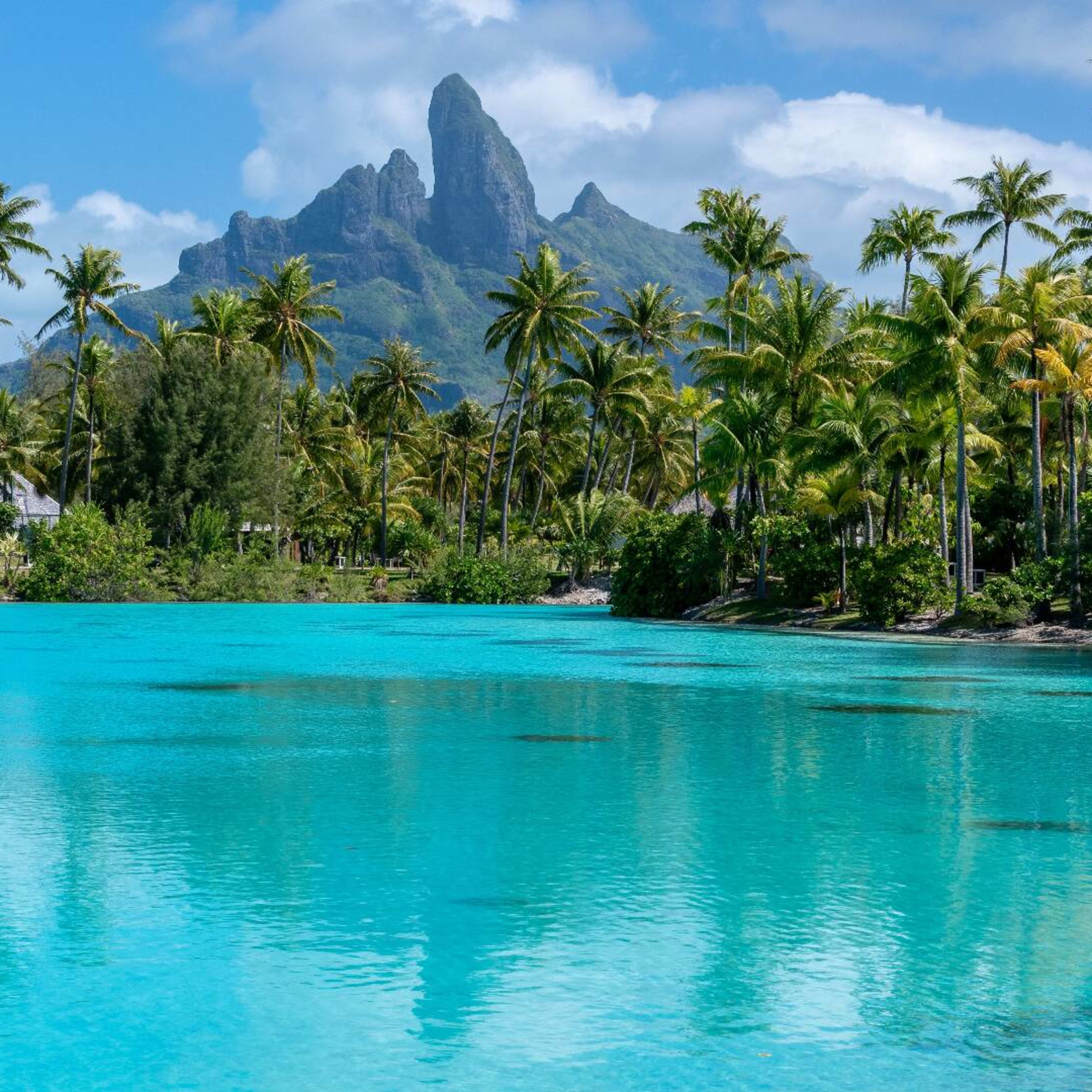 What Is a Pyramid Scheme and How Do They Work? - TheStreet