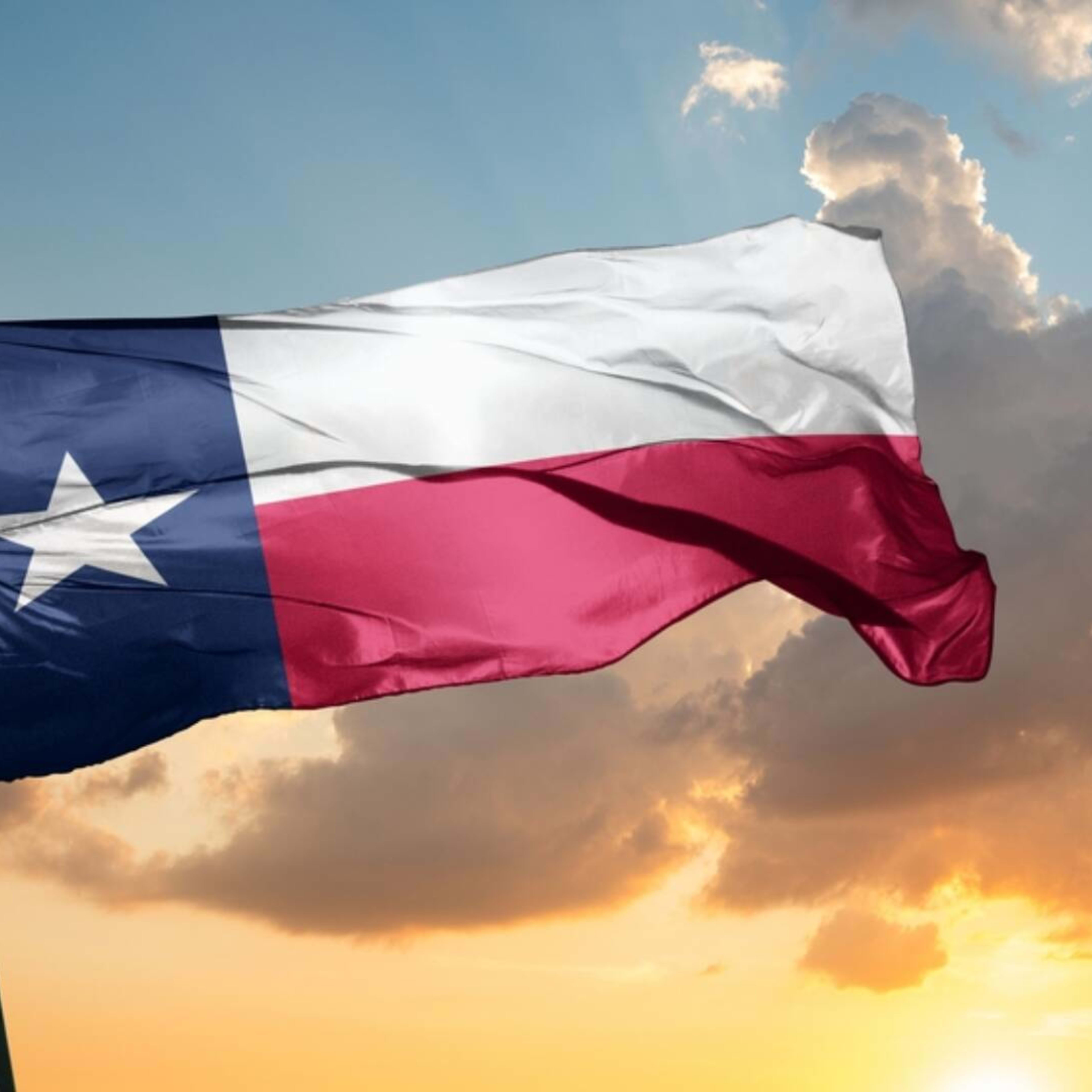 Pilgrim's Pride Swings to Loss, Closes Plant - TheStreet