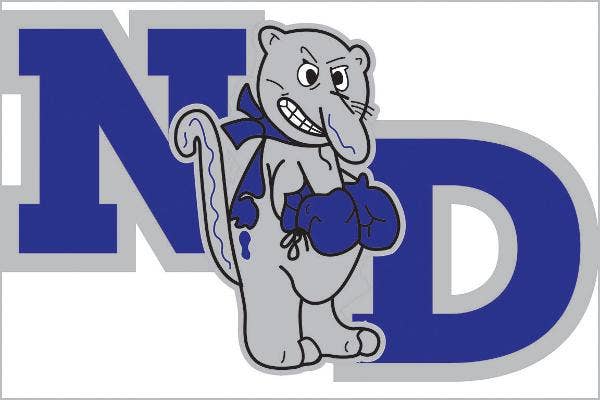 Quirky but Proud: 30 Unusual High School Mascots - TheStreet