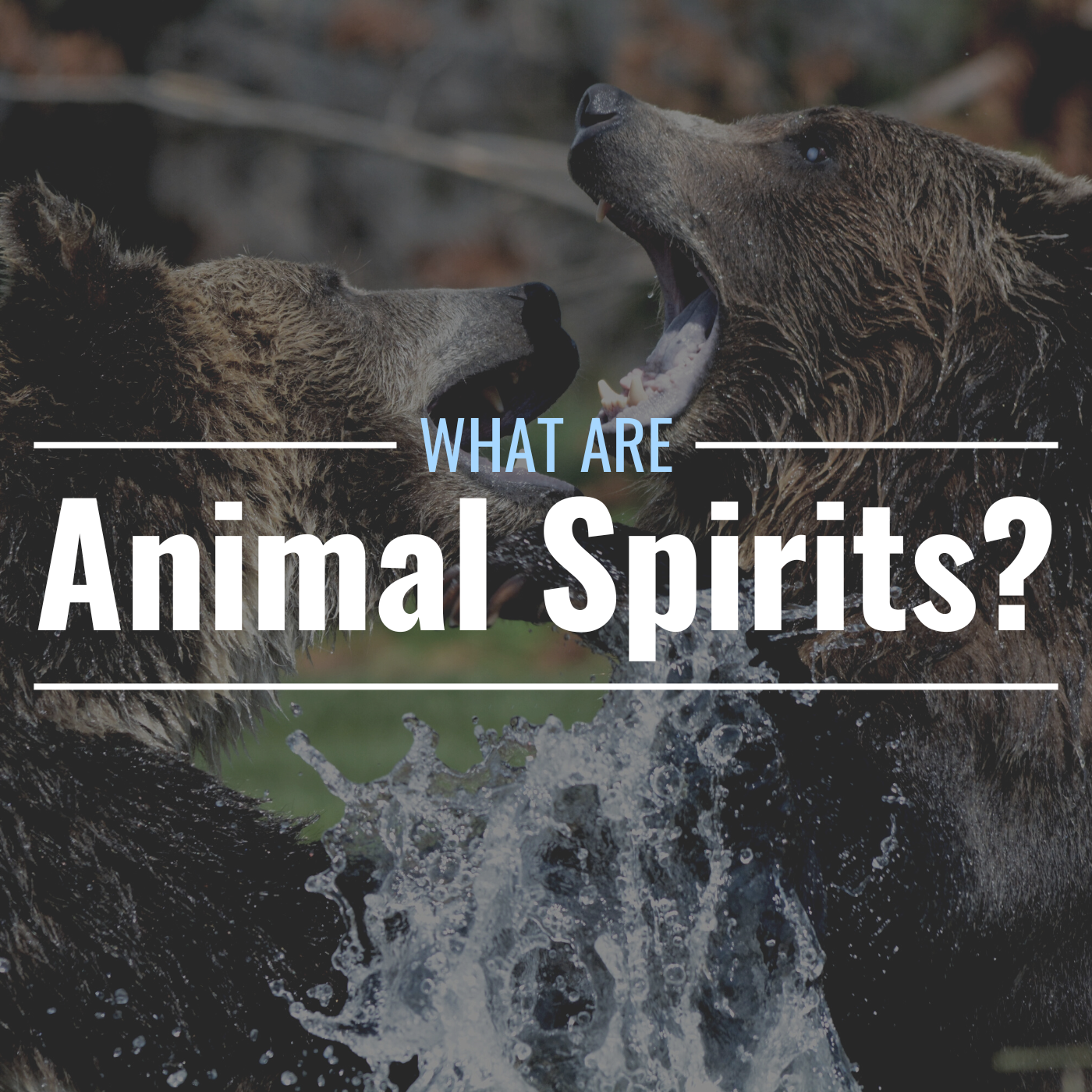 What Are Animal Spirits? Definition, Explanation & Examples - TheStreet