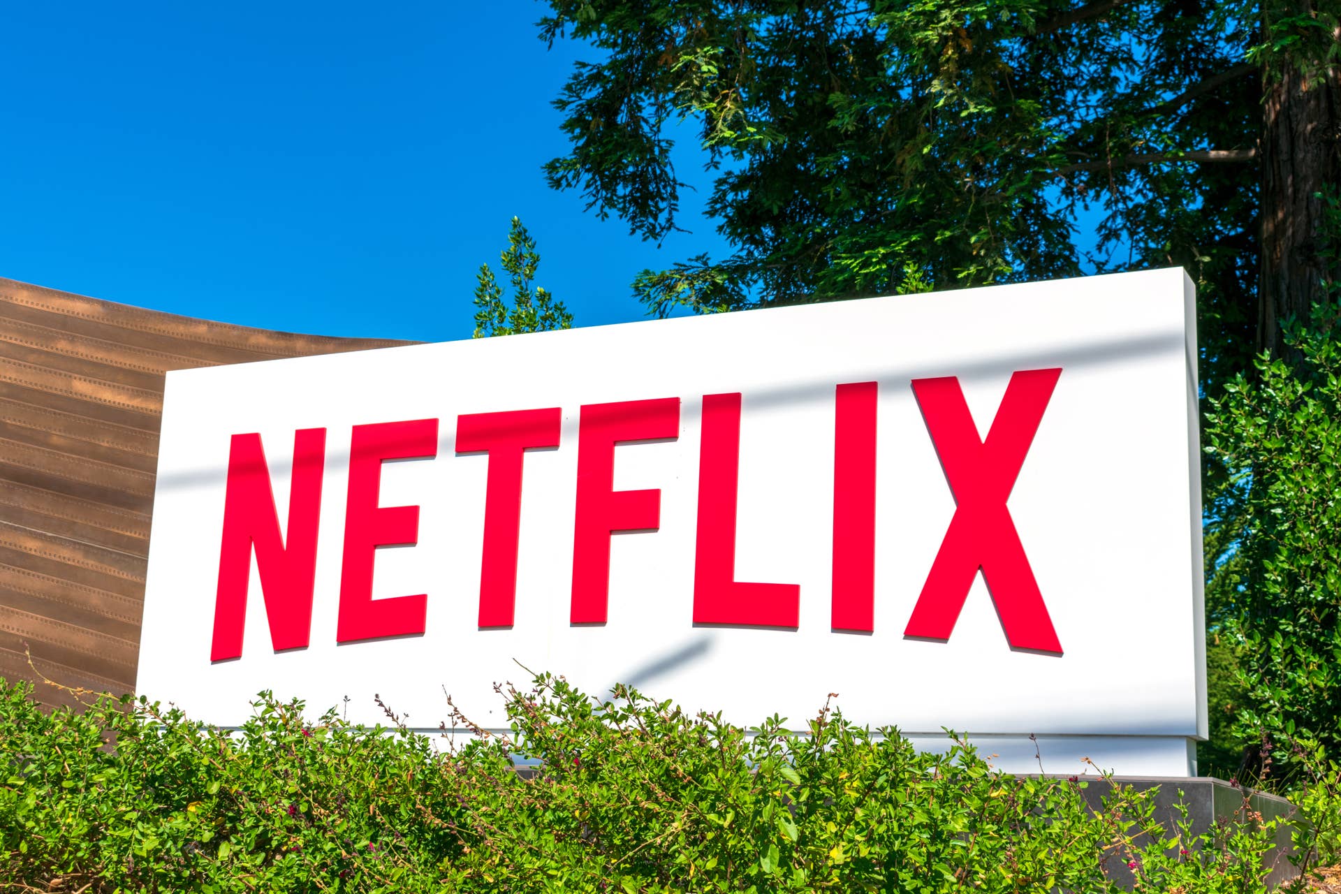 The Netflix story: From mailbox to mega-cap - TheStreet