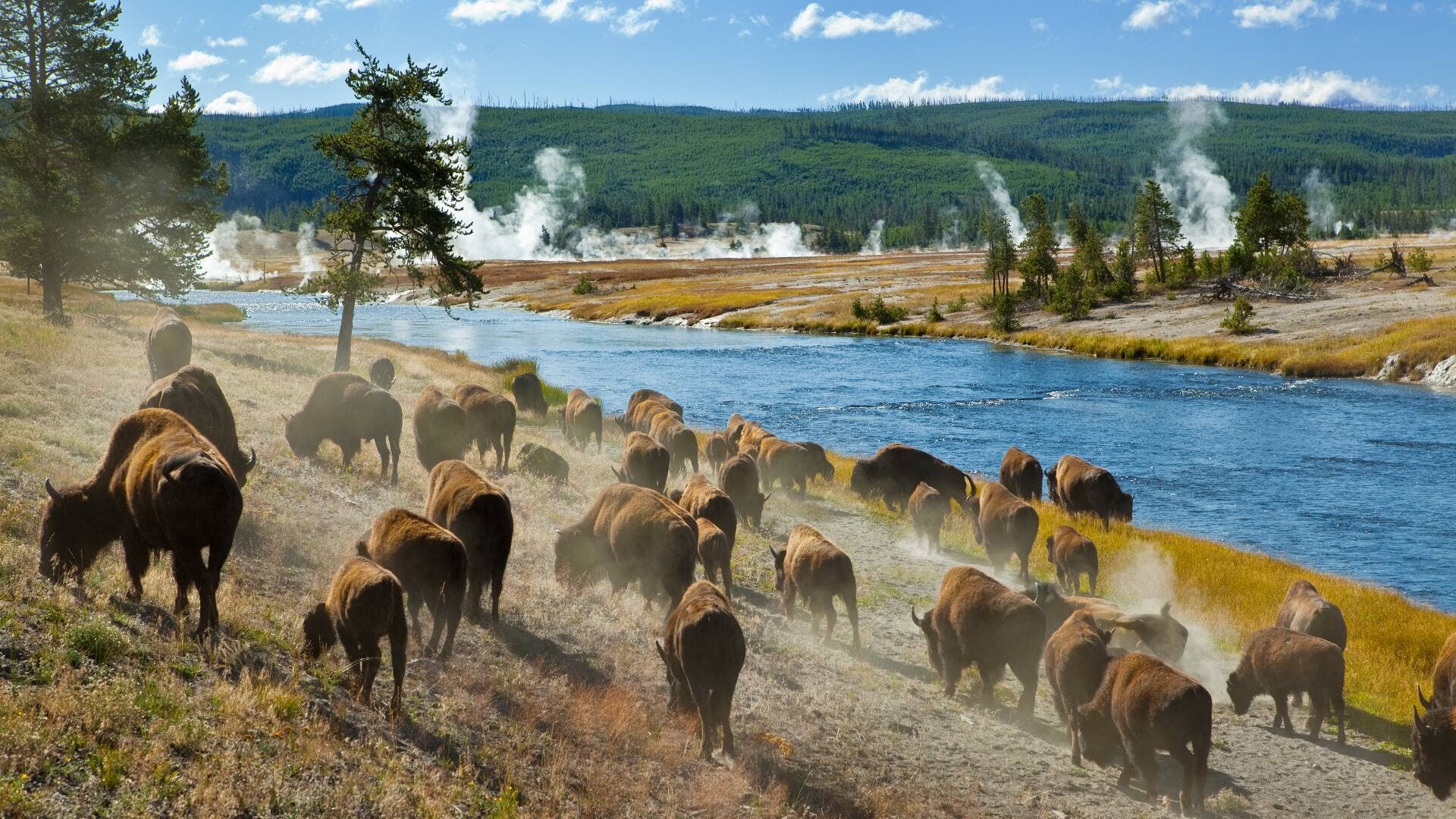 Another dangerous national park activity proliferates during shutdown ...